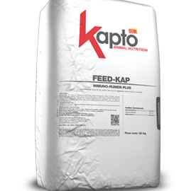 FEED-KAP INMUNO-RUMEN PLUS | Grupo Sur
